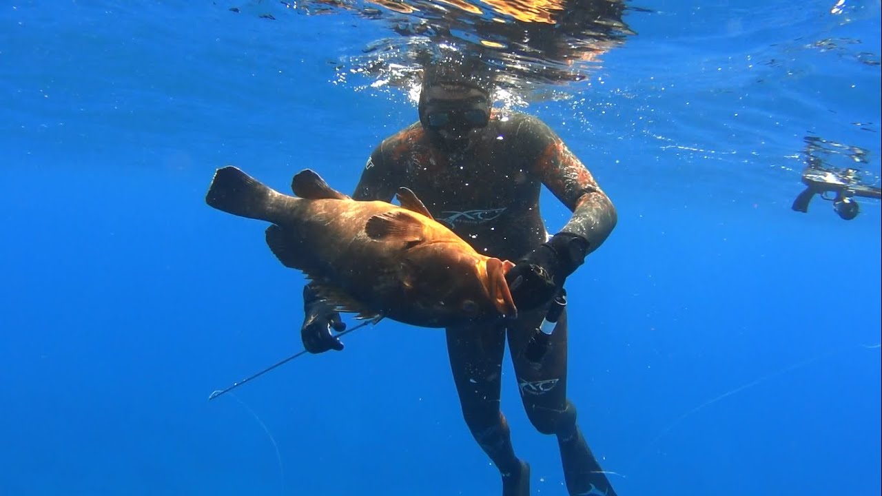 Deep Spearfishing Moments - YouTube