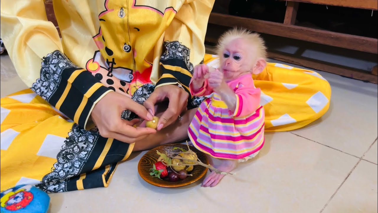 Cleaver DORO Monkey Very Impressed to see the many kind of FRUIT - YouTube