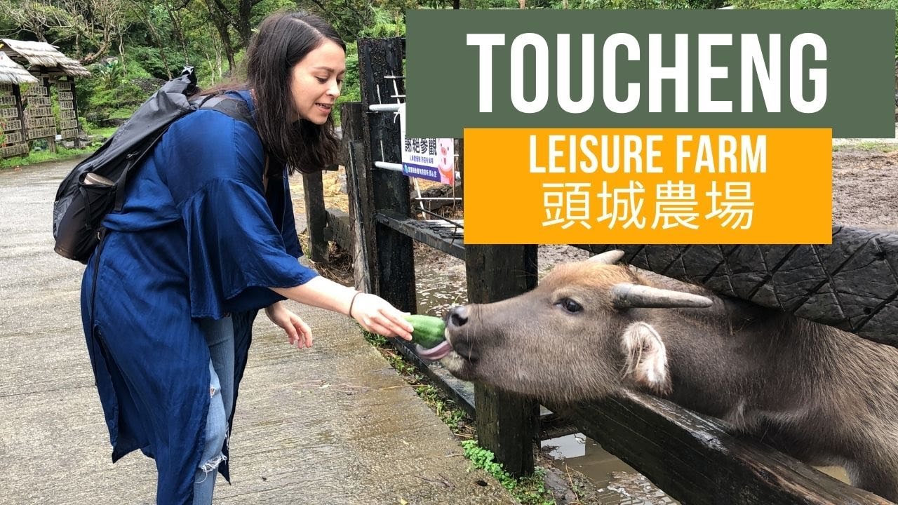 A day on Taiwan’s Toucheng Leisure Farm 頭城農場 - YouTube