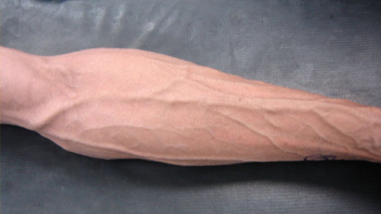 How To Get Your Veins To Pop Out Of Your Forearms YouTube how-to-get-your-veins-to-pop-out-of-your-forearms-youtube