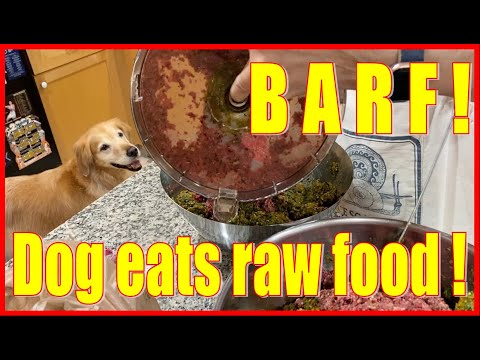 Micki's Kitchen Do-it-Yourself Dog Food - YouTube
