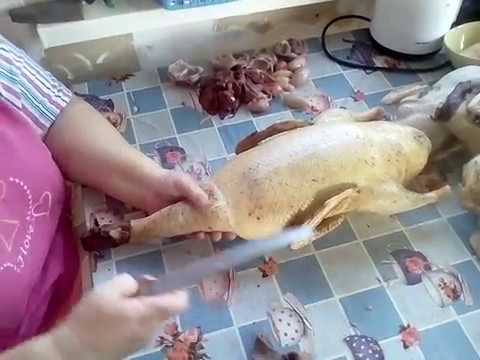 разделываем утку