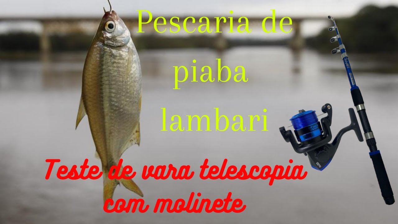 fish fishing pescaria de piaba + testando vara telescópica com molinete ...