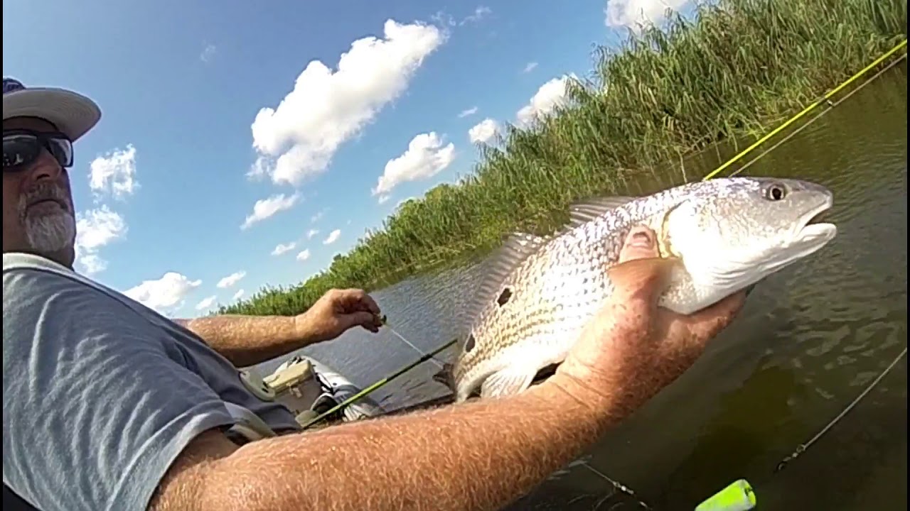 September Redfish Bite - YouTube