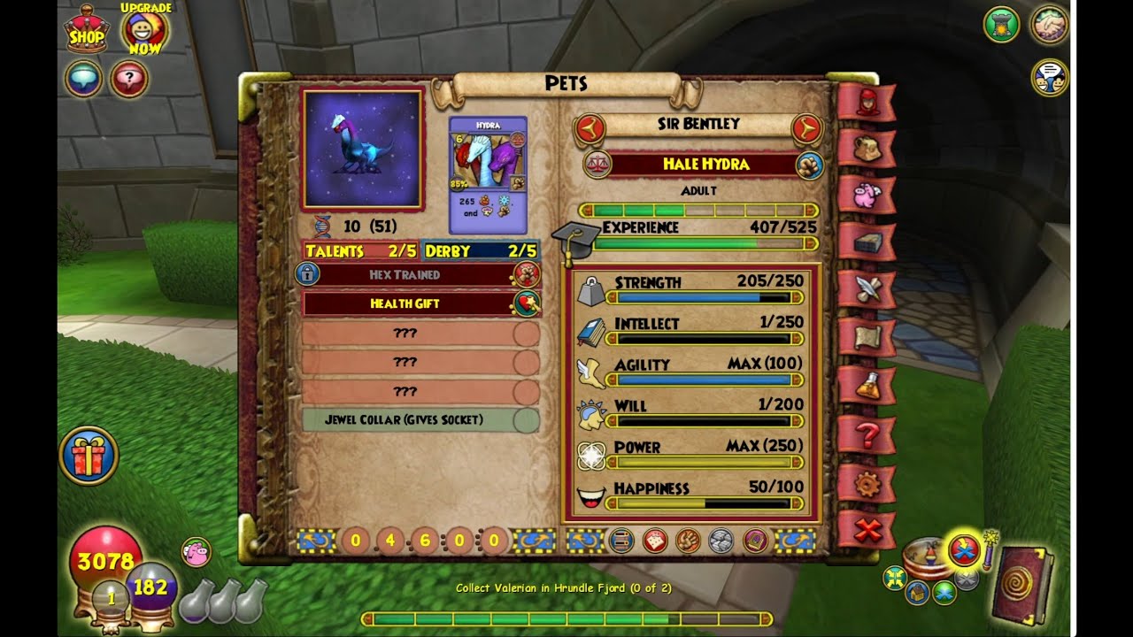 Wizard101: Baby to Adult Hale Hydra - YouTube