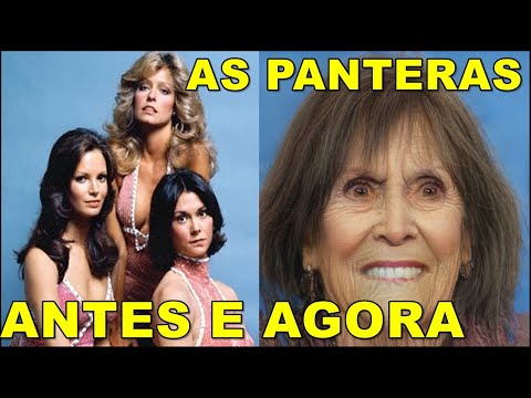 AS PANTERAS ANTES E AGORA