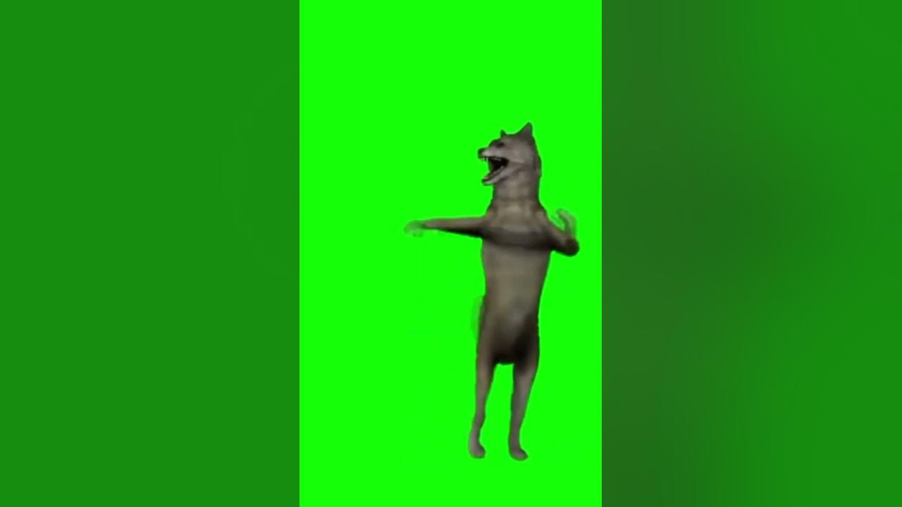 Как и обещал футаж волка Youtube