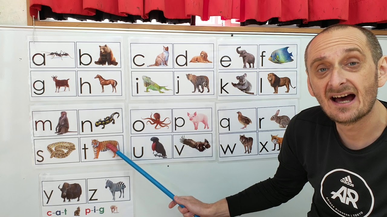 Rabbit Phonics, Shapes and Colors - YouTube