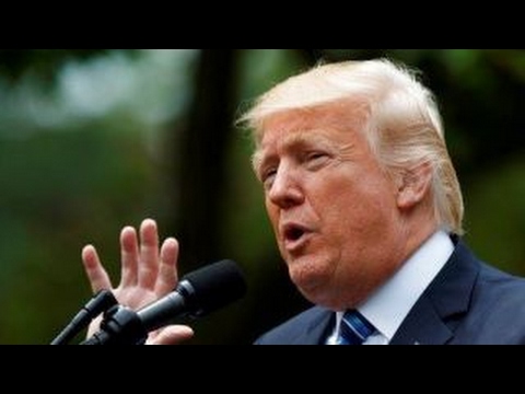 Fmr. Cato President: Business is confident in Trump - YouTube
