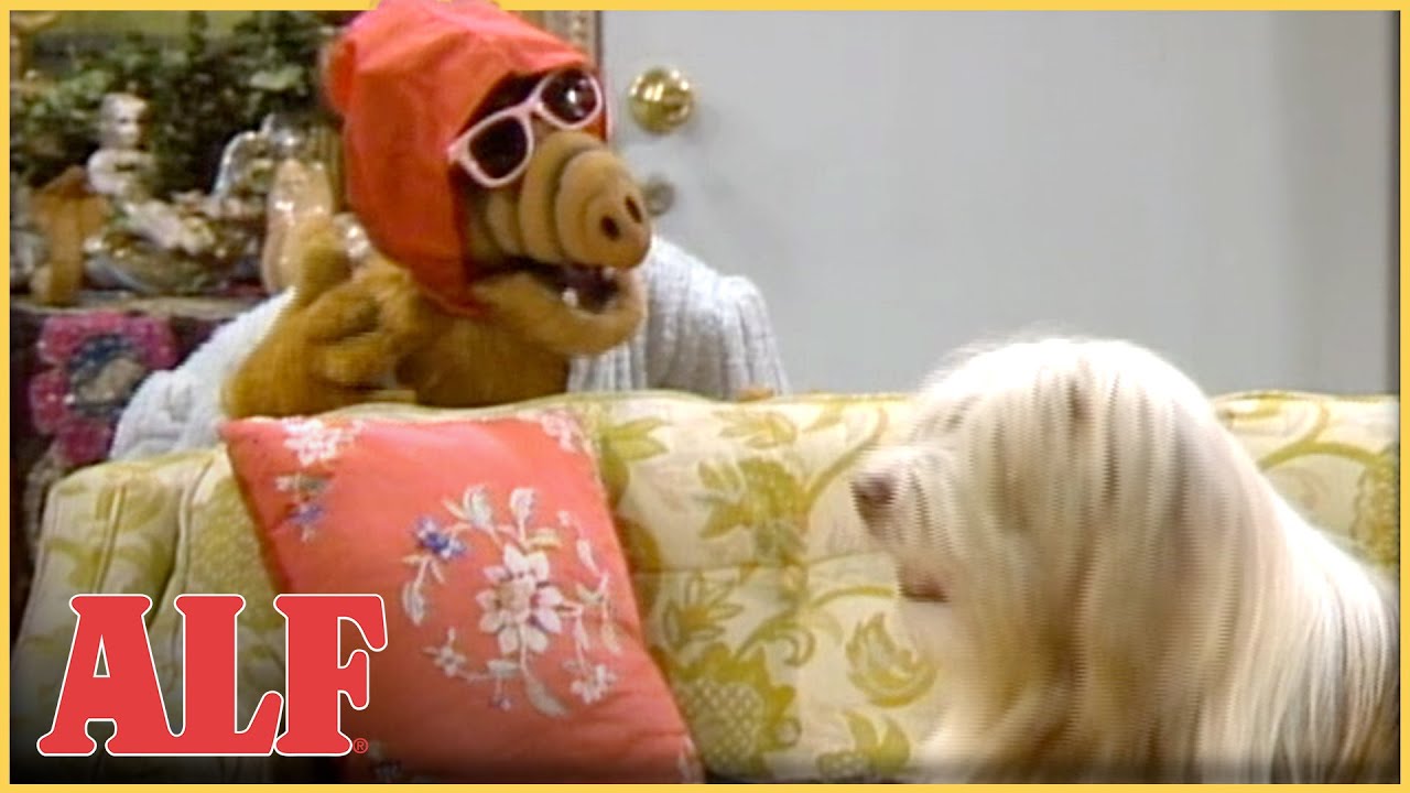 ALF Rescues Dog in Distress | S2 Ep20 Clip - YouTube