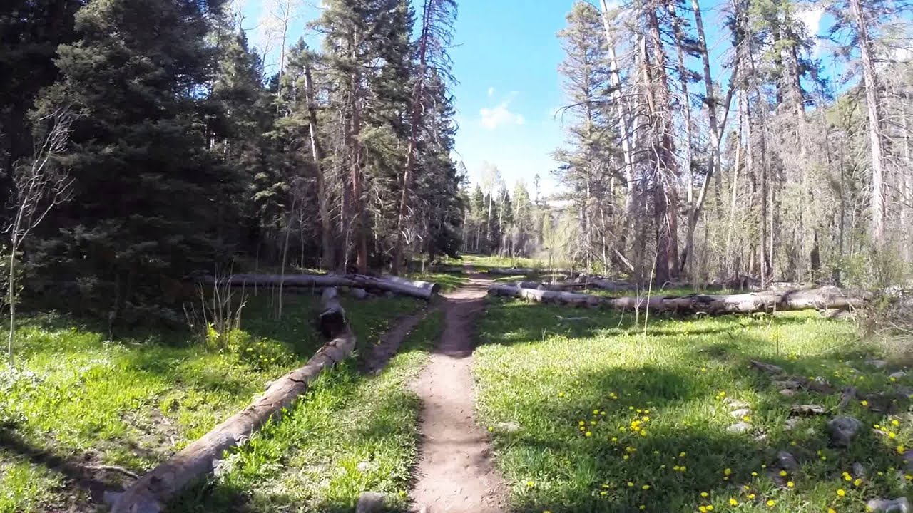 Middle Fork Rio Santa Barbara, Pecos Wilderness, NM - YouTube