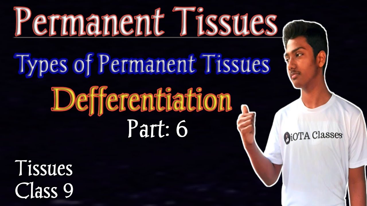 Permanent tissues | Types of Permanent tissues | Defferention ...