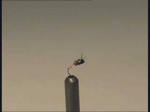 Genuine Flea Circus - YouTube