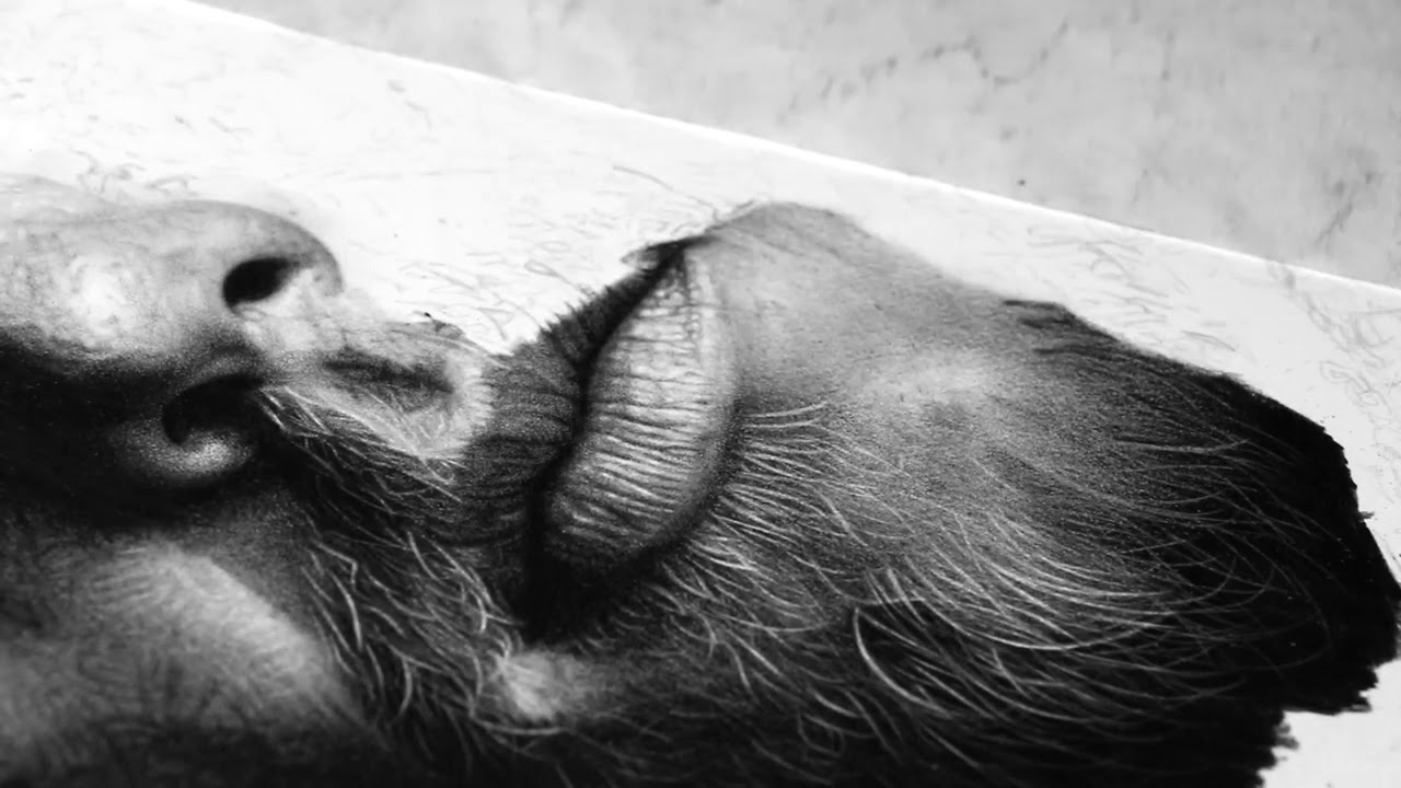 Drawing Avicii Tim Bergling - YouTube