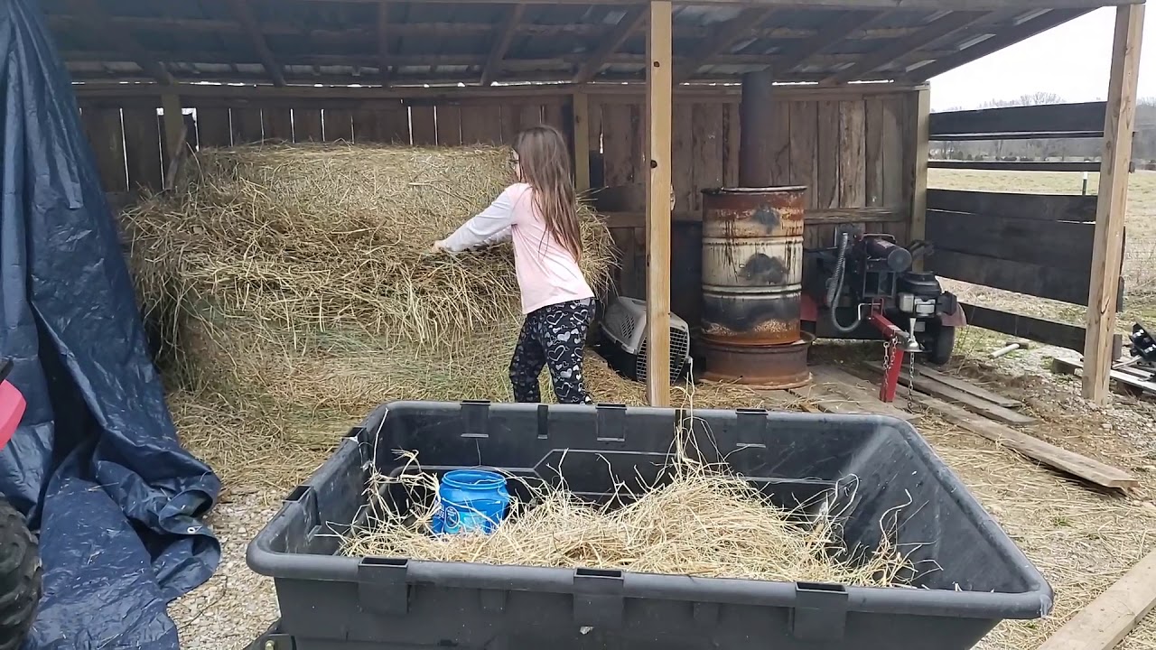 Life on the farm - YouTube