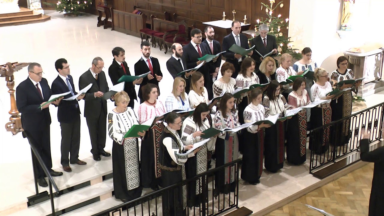 Plugusorul - YouTube