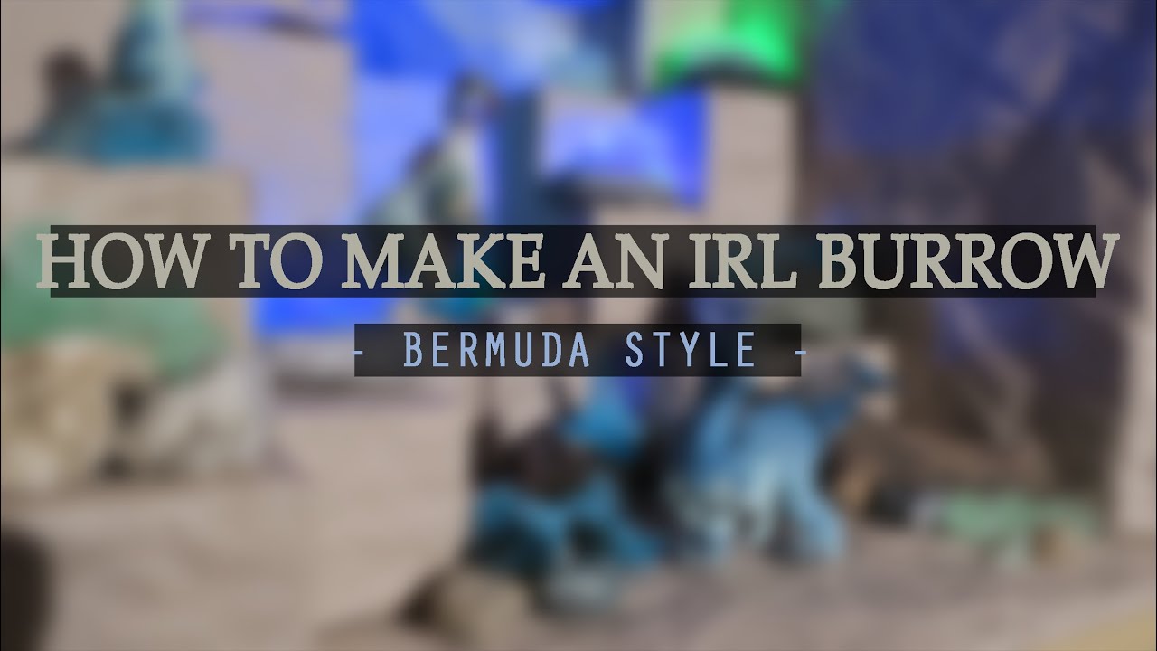 How to make an irl Burrow | Beasts of Bermuda - YouTube
