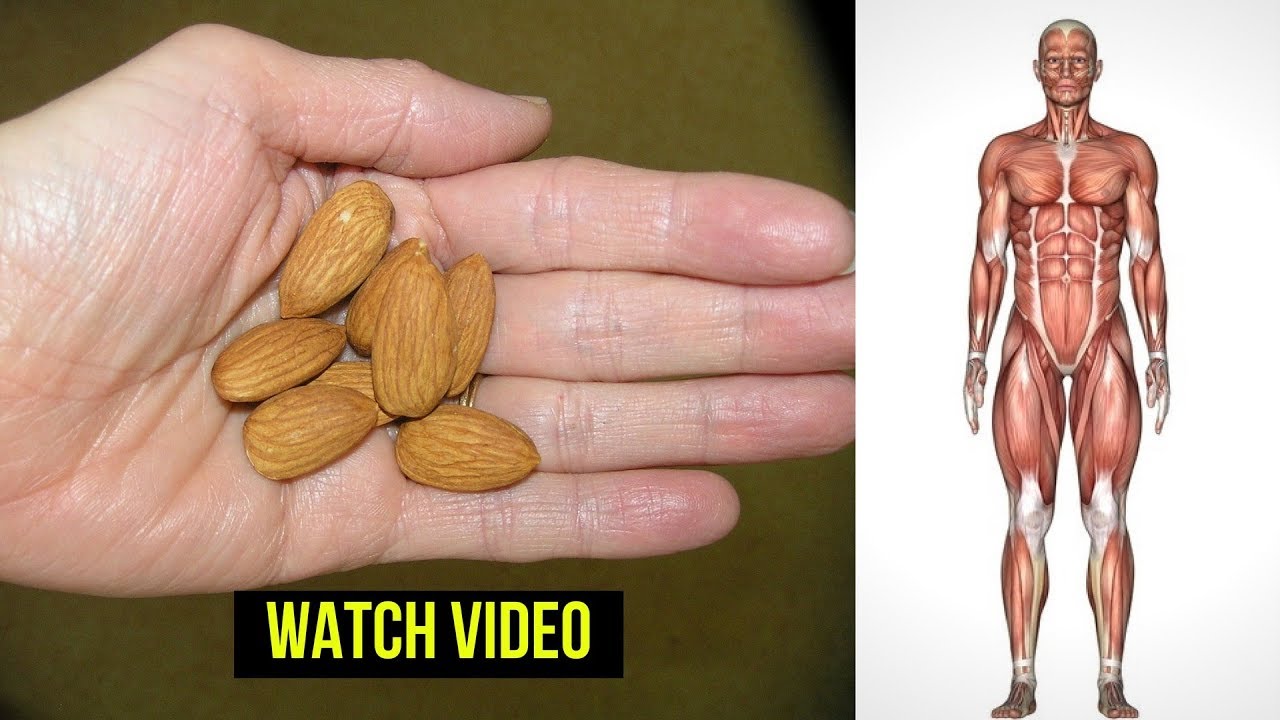 Eat 4 Almonds Daily and This Will Happens To Your Body - YouTube