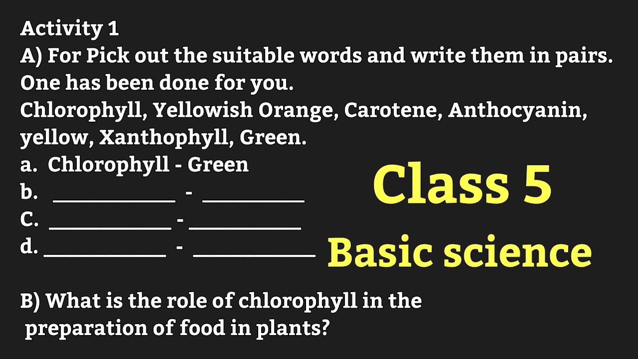 Class 5 /Basic Science /Activity 1 /QUESTION paper model Activity ...
