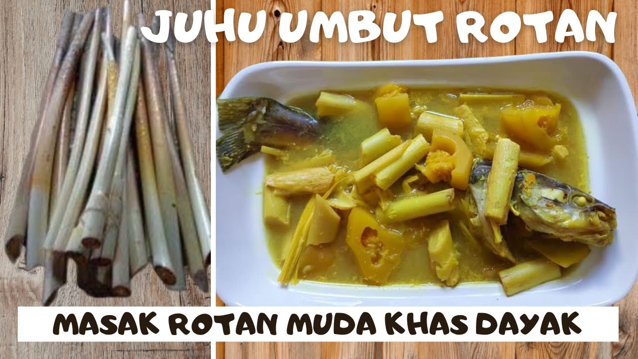 ROTAN MUDA/JUHU UMBUT ROTAN DENGAN IKAN BAUNG KHAS DAYAK NGAJU - YouTube