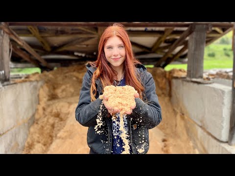 Where does all our sawdust go? 5 uses for sawdust that you haven’t thought of