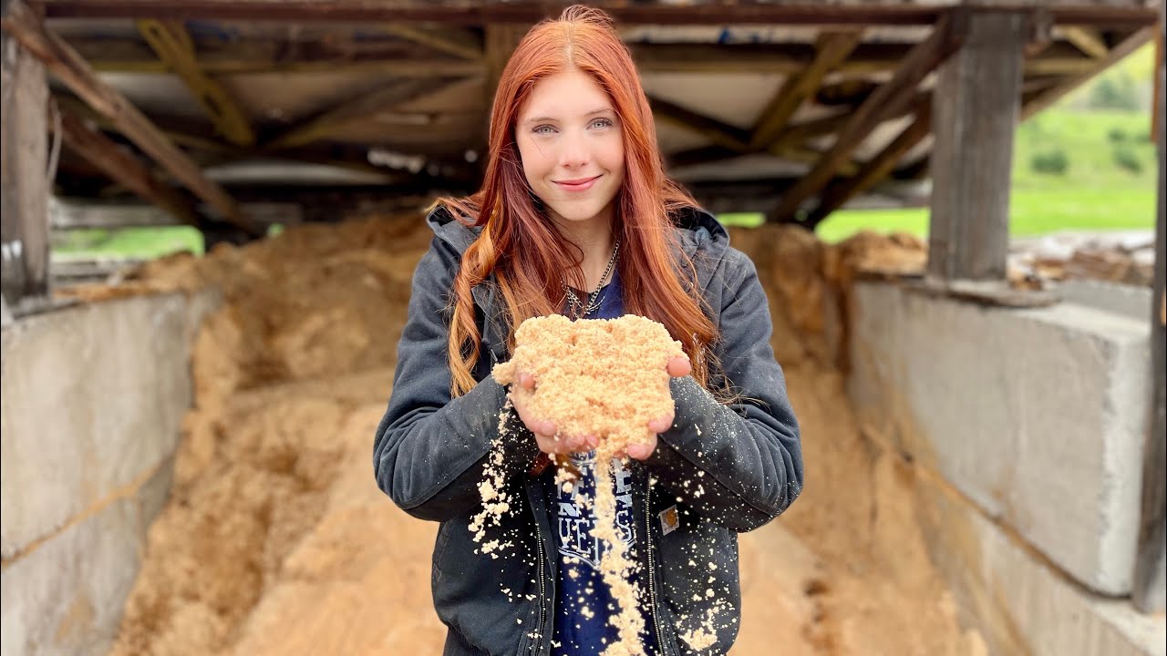 Where does all our sawdust go? 5 uses for sawdust that you haven’t ...