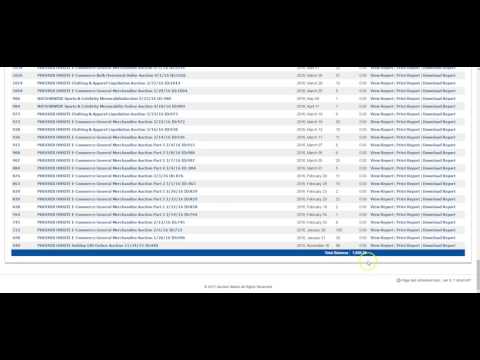 Tracking Your Inventory With Go Gambit/Auction Nation