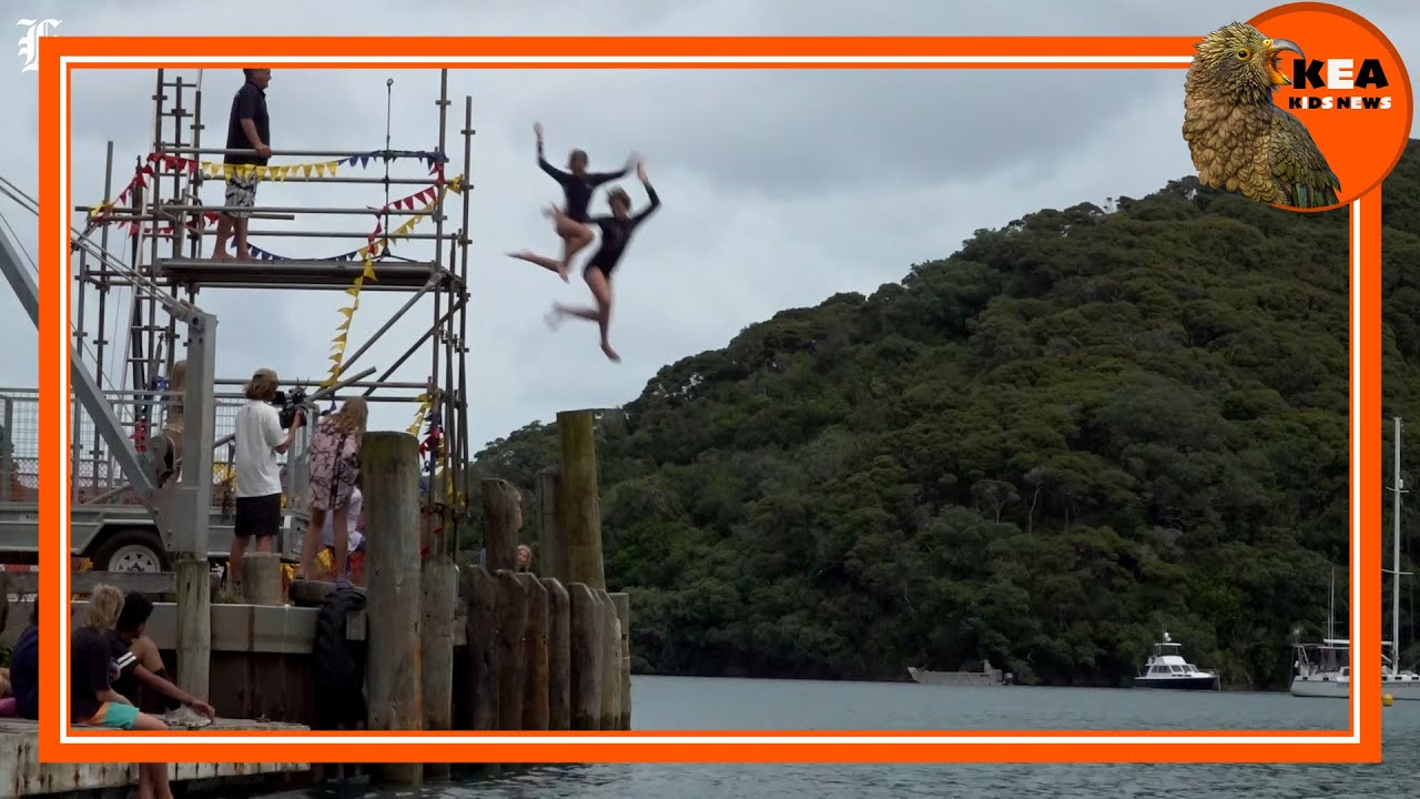 Kea Kids News: Manu mania | nzherald.co.nz - YouTube