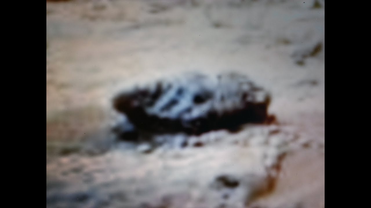 MARS SOL 569 - NASA Busted Covering Up Statue + Amazing Anomaly Pics ...