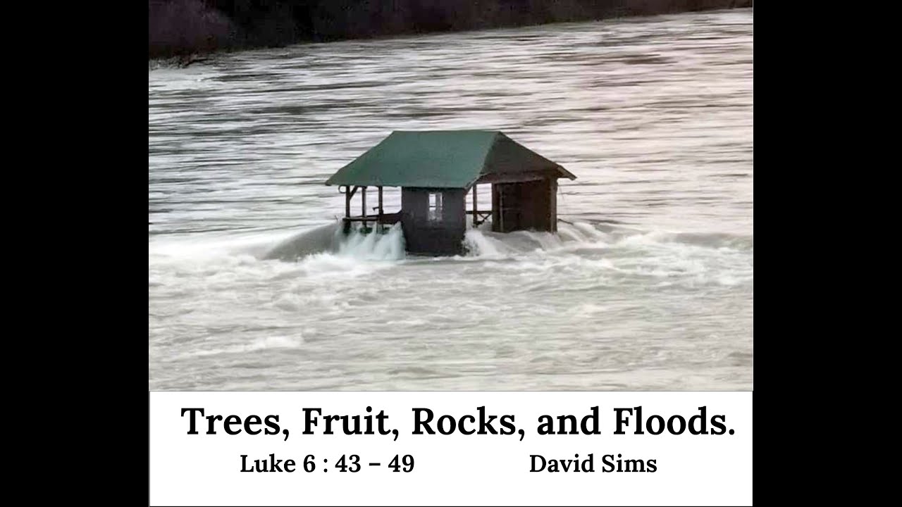"Trees, Fruit, Rocks and Floods." [Luke 6 : 43 - 49] - David Sims - YouTube