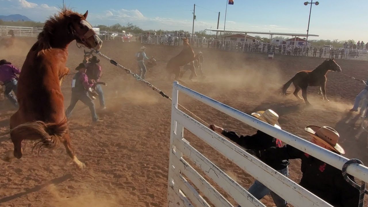 Wild Horse Race 2019 Rail Three Ranch Rodeo - YouTube