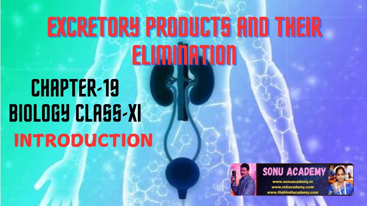Excretory Products and Their Elimination || Chapter-19 || Biology ...
