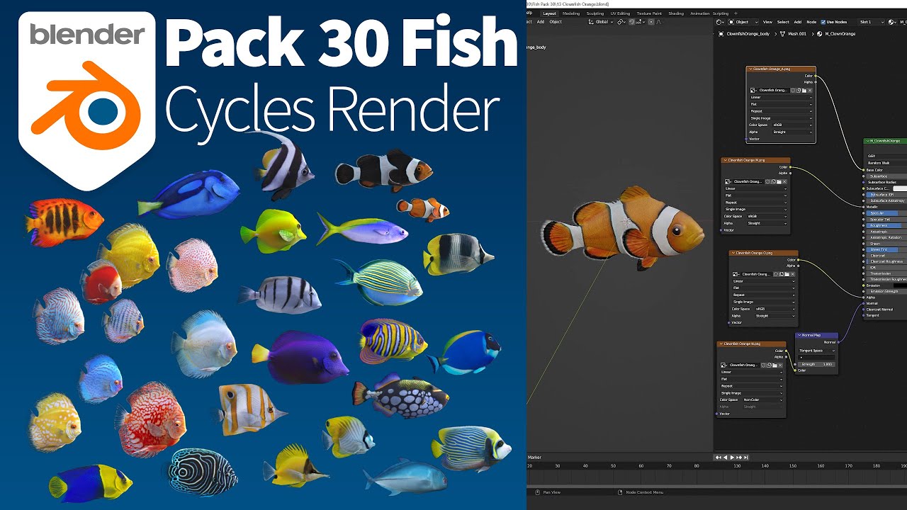 Fish Pack 30. Blender Project Cycles - YouTube