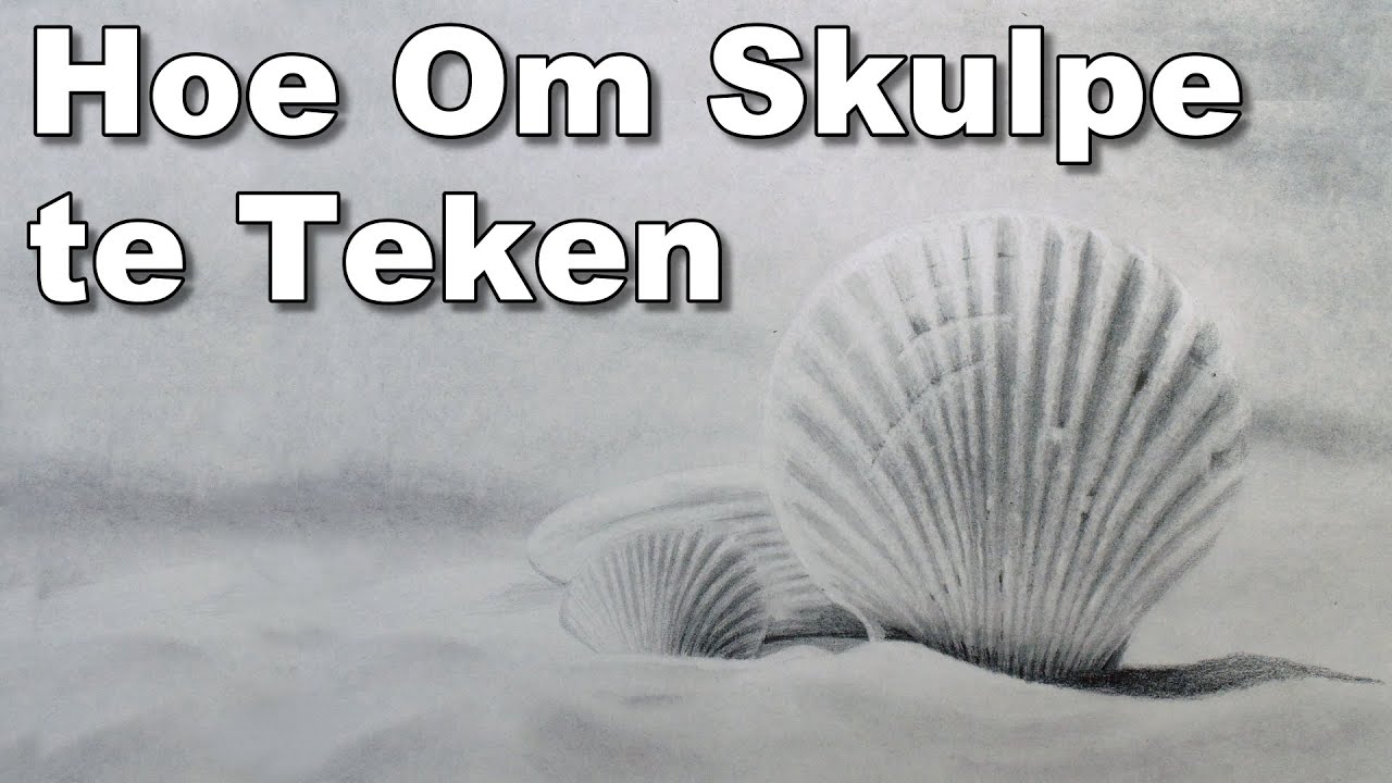 hoe om skulpe te teken kus lesse klasse - YouTube