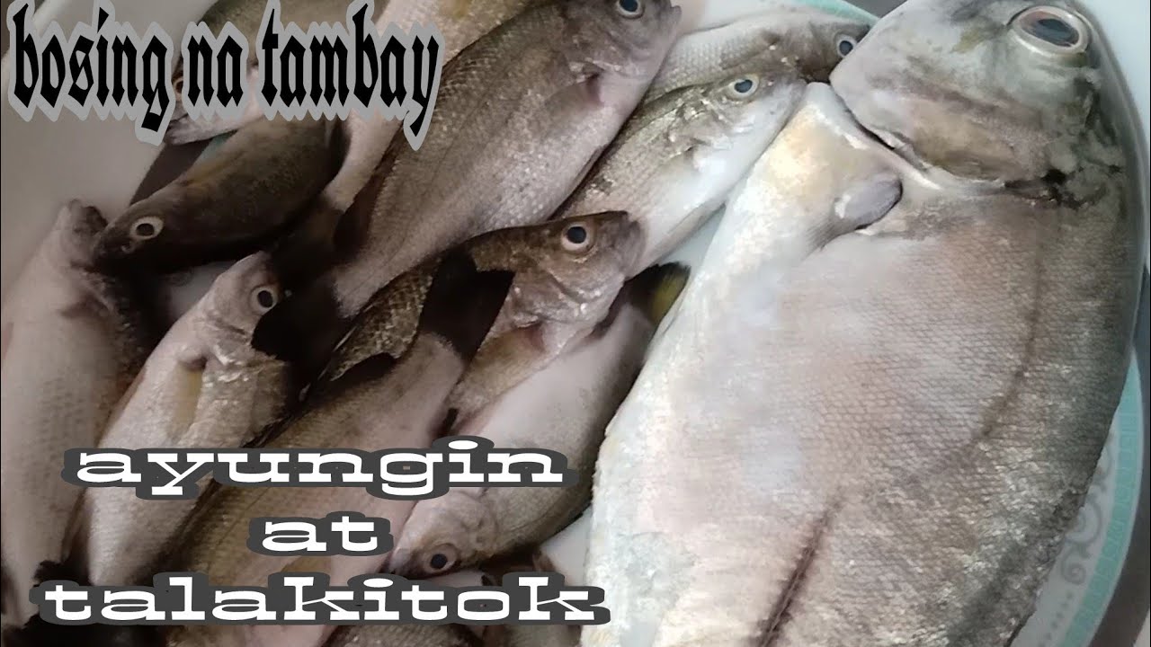 Ayungin at Talakitok / bosing recipe - YouTube