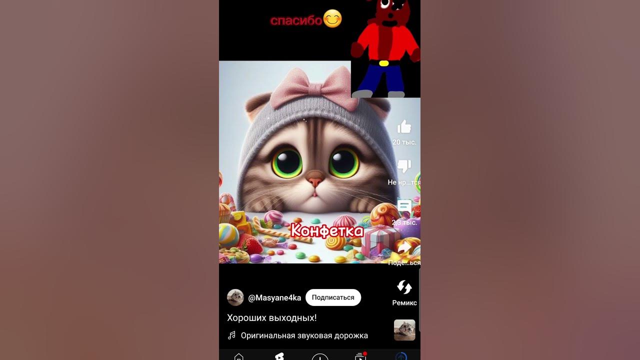 очень хорошенький котик🥰 Youtube