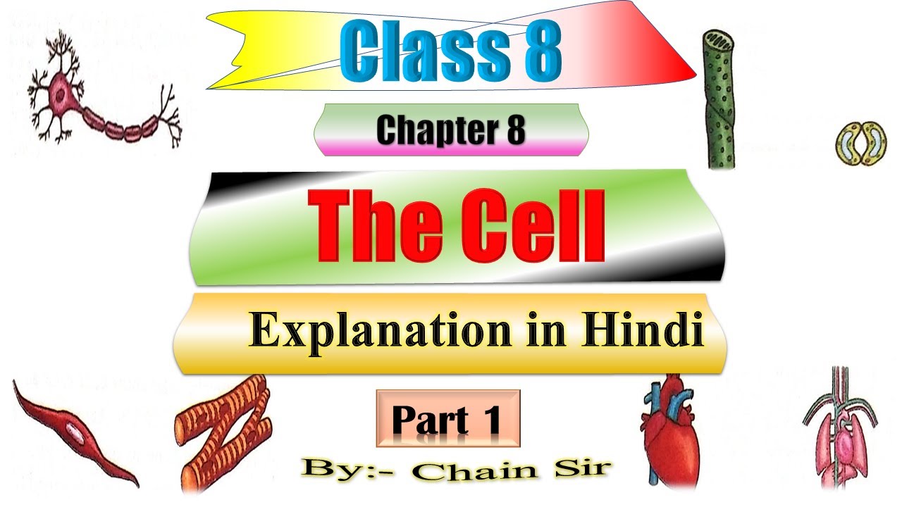 Class 8 Science Chapter 8 The Cell Explanation in Hindi | Part 1 | New Science Ahead | Ques and ...