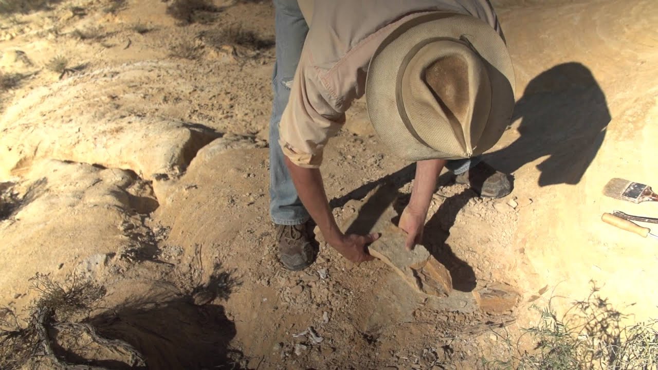 Chuck and Barb Go Hunting by Katy Scoggins - YouTube