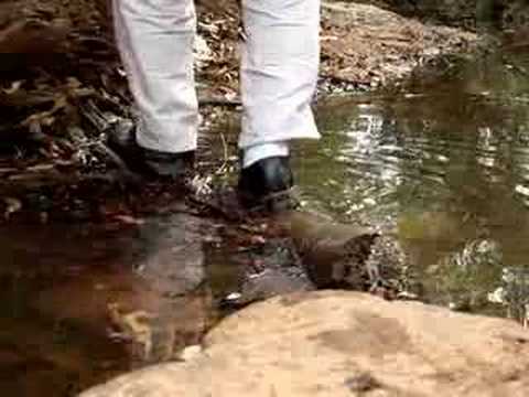 loose shoe 4 - YouTube