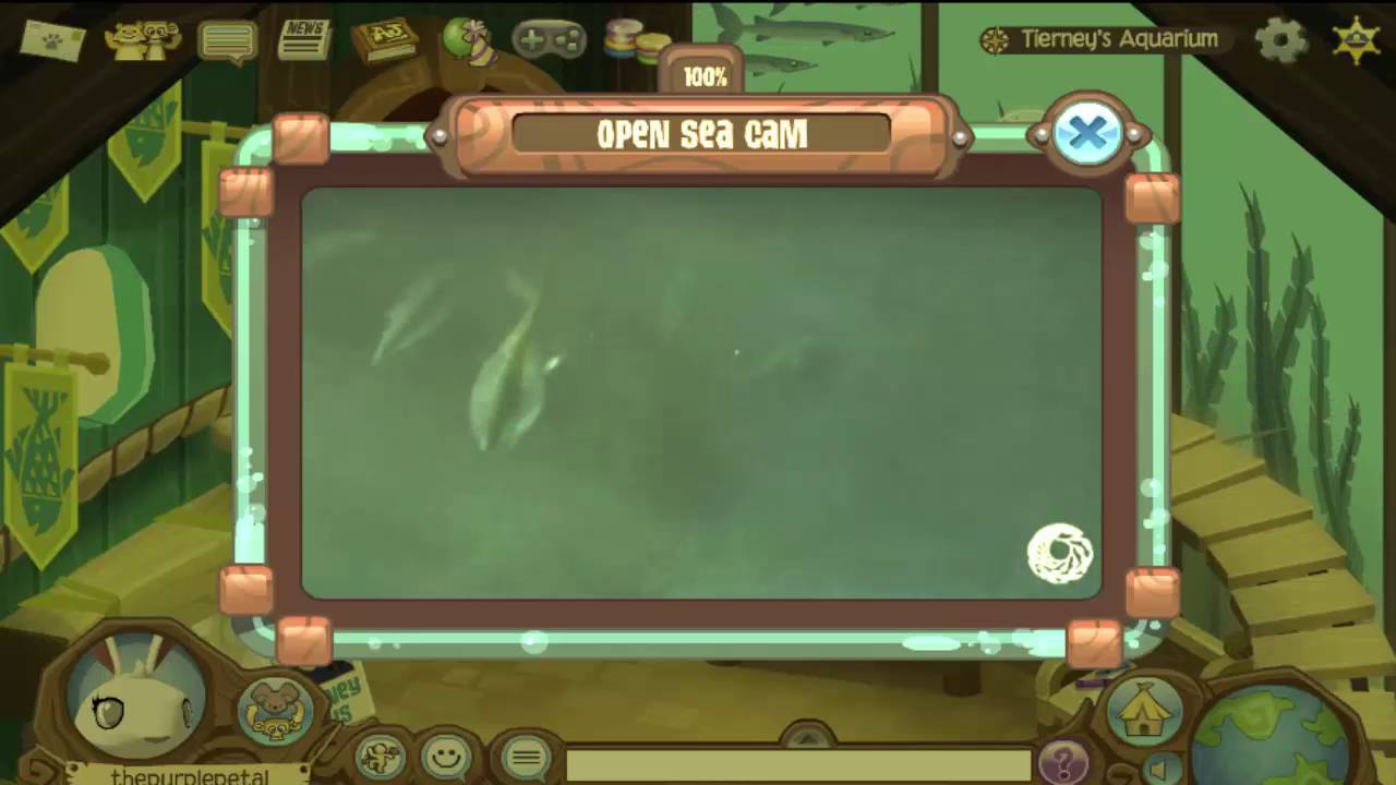 Animal Jam: Open Sea Cam - YouTube