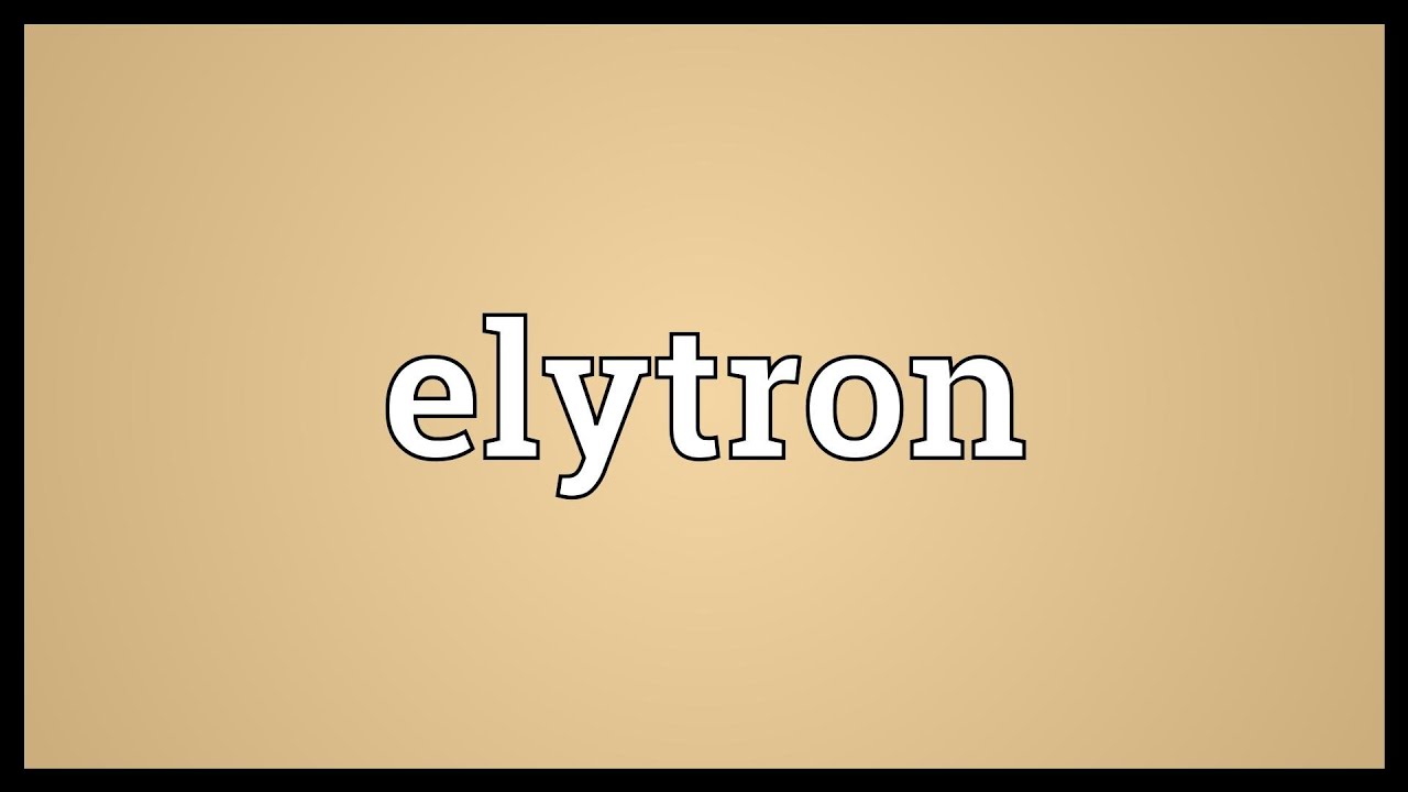Elytron Meaning - YouTube