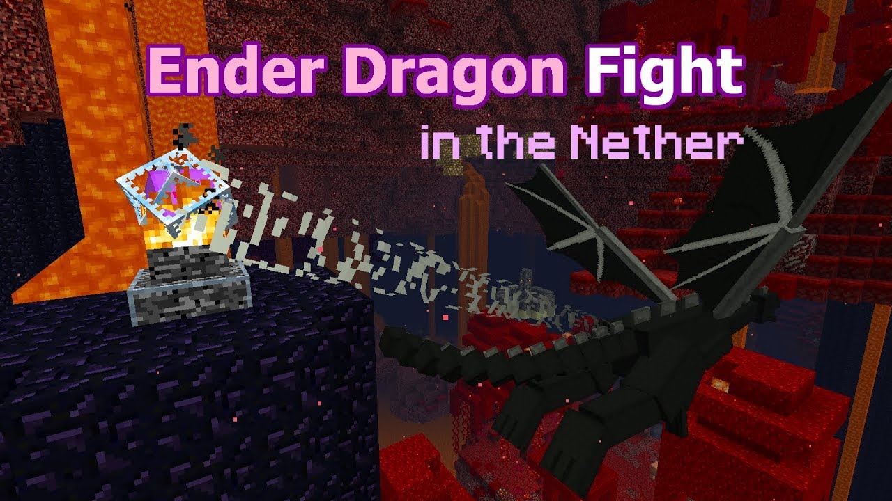 Minecraft Ender Dragon In The Nether