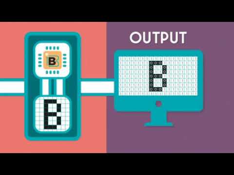 Lesson 3 How Computers Work CPU, Memory, Input & Output - YouTube