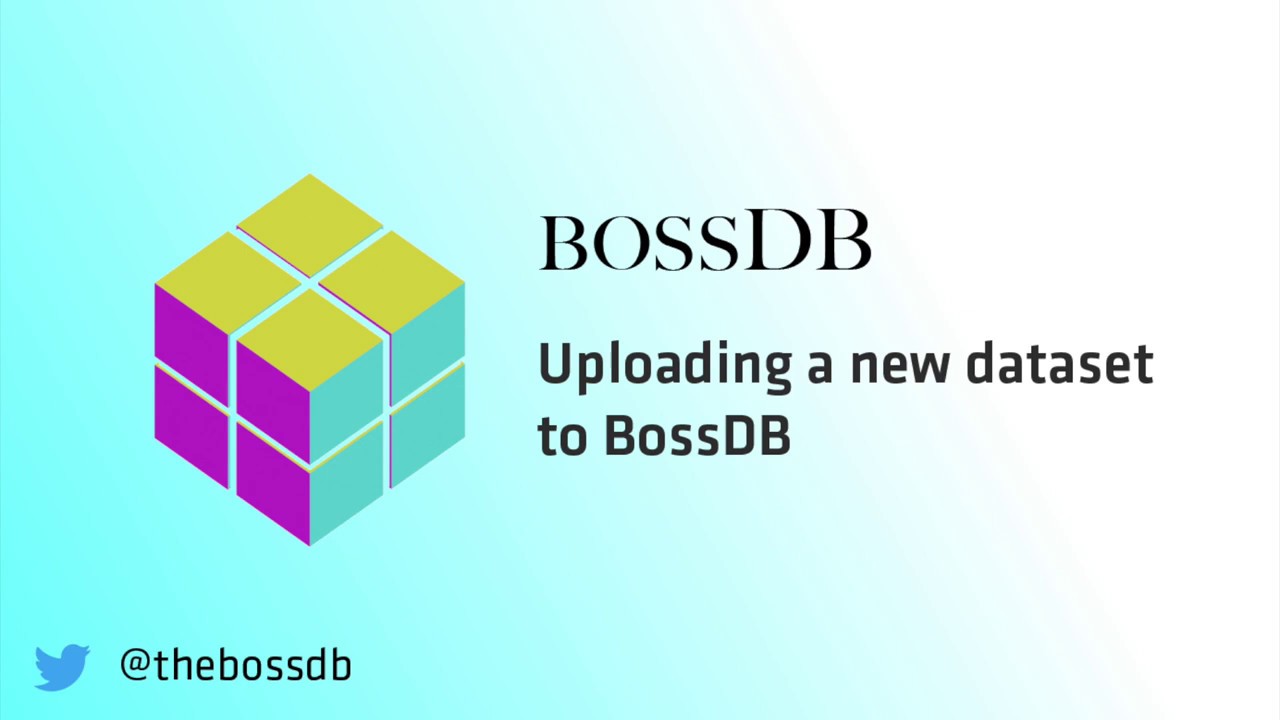 Uploading data to BossDB.org - YouTube