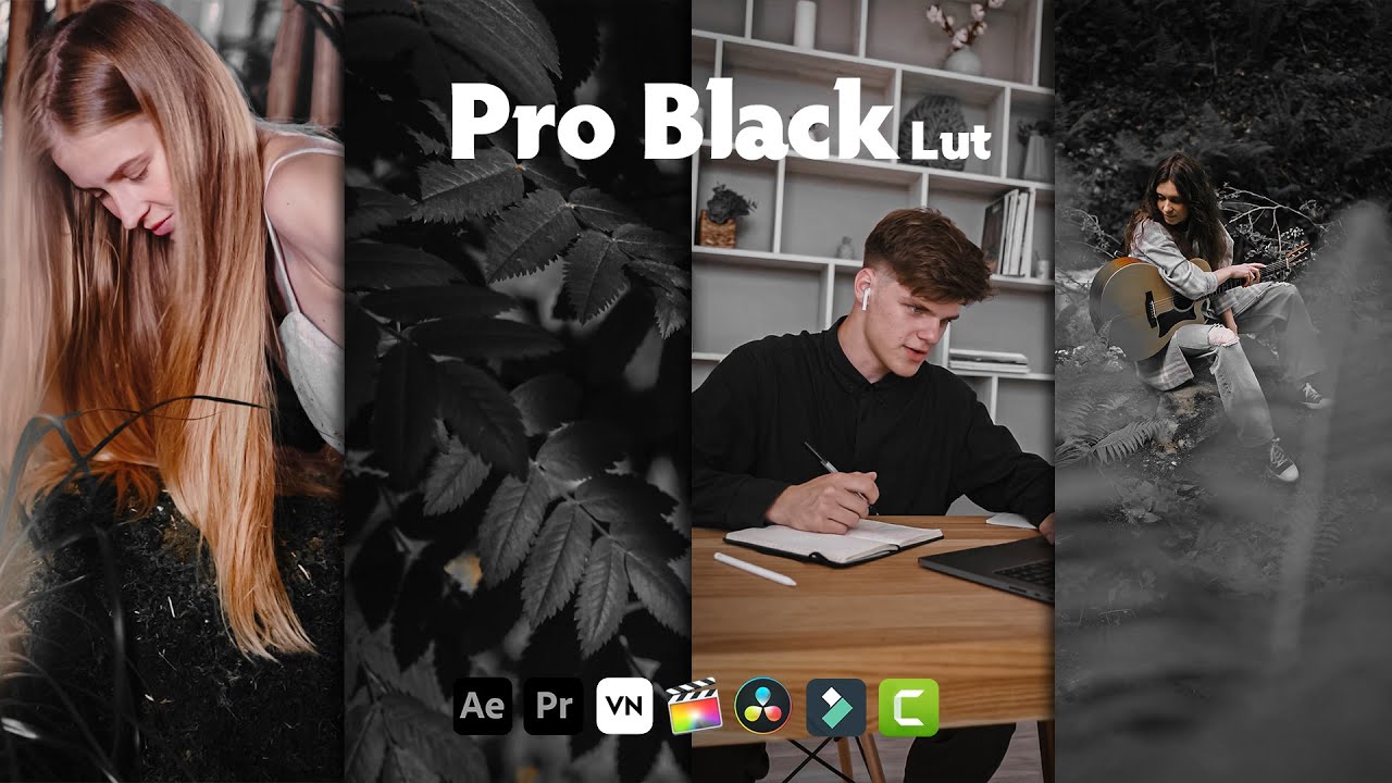 Pro Black Lut - VN Editor Black Paris lut - Moody Black lut - Black ...