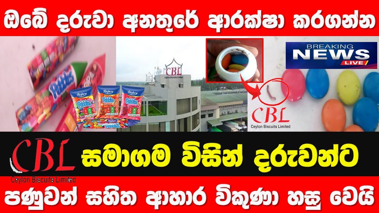 පණුවන් සමග චොකලට් විකුණන සමාගමට වැඩ වරදියි | CBL Foods | story eka ...