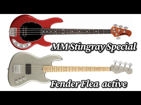 Fender Flea Active / Music Man Stingray Special (Aeroplane - RHCP ...