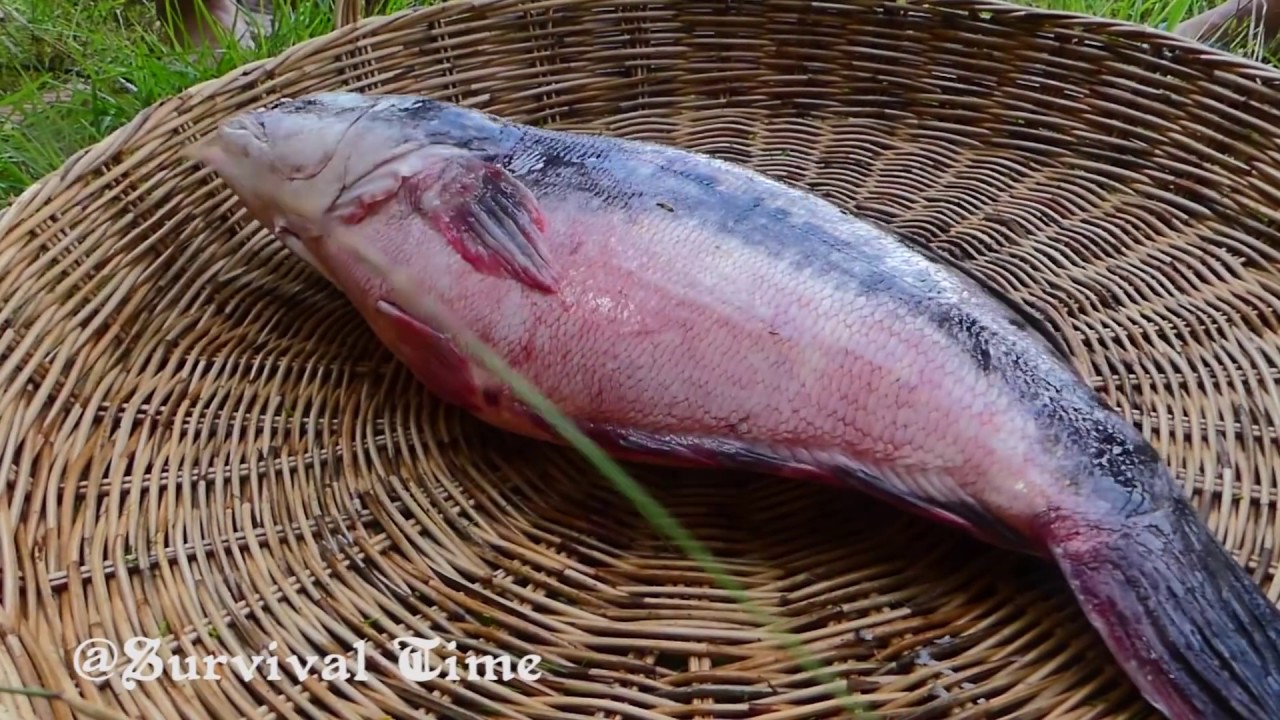 Cooking Amok Fish With Secret Recipe At Rice Field - YouTube