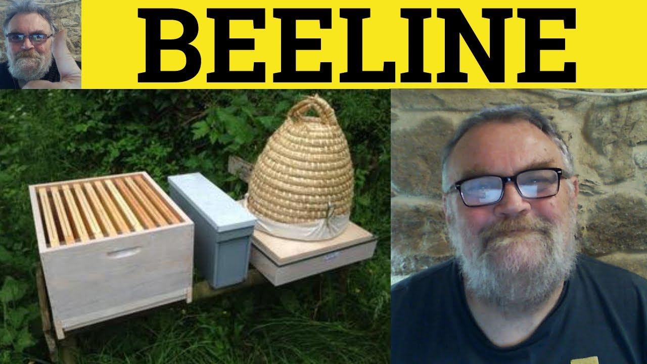Beeline Meaning Beeline Examples Make A Beeline For Defined beeline-meaning-beeline-examples-make-a-beeline-for-defined