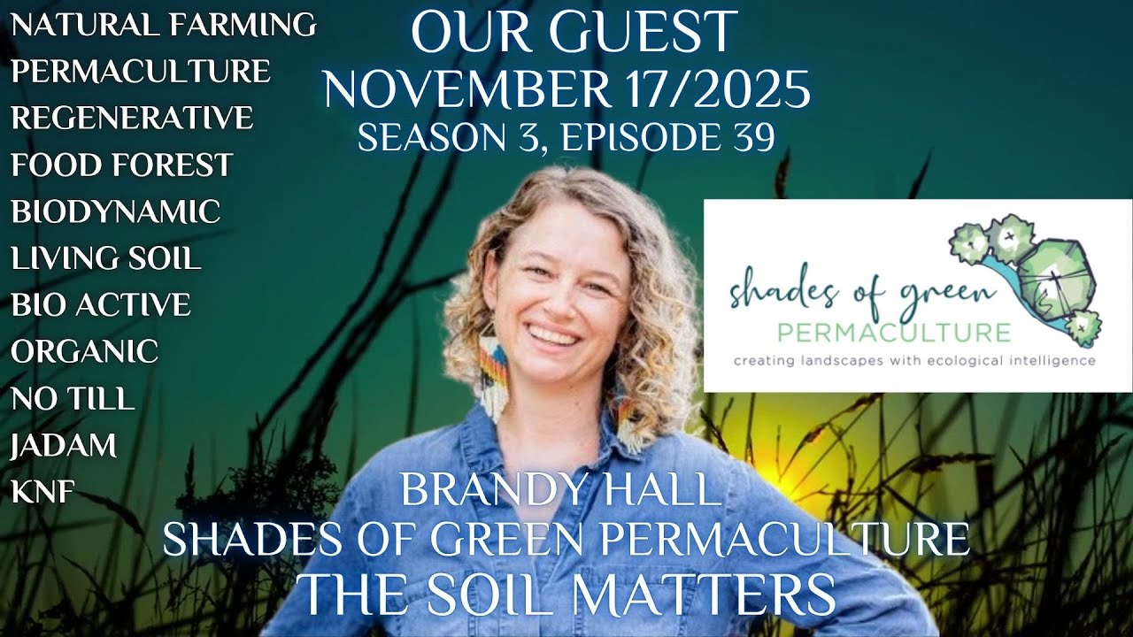 Brandy Hall of Shades of Green Permaculture 📱 - YouTube